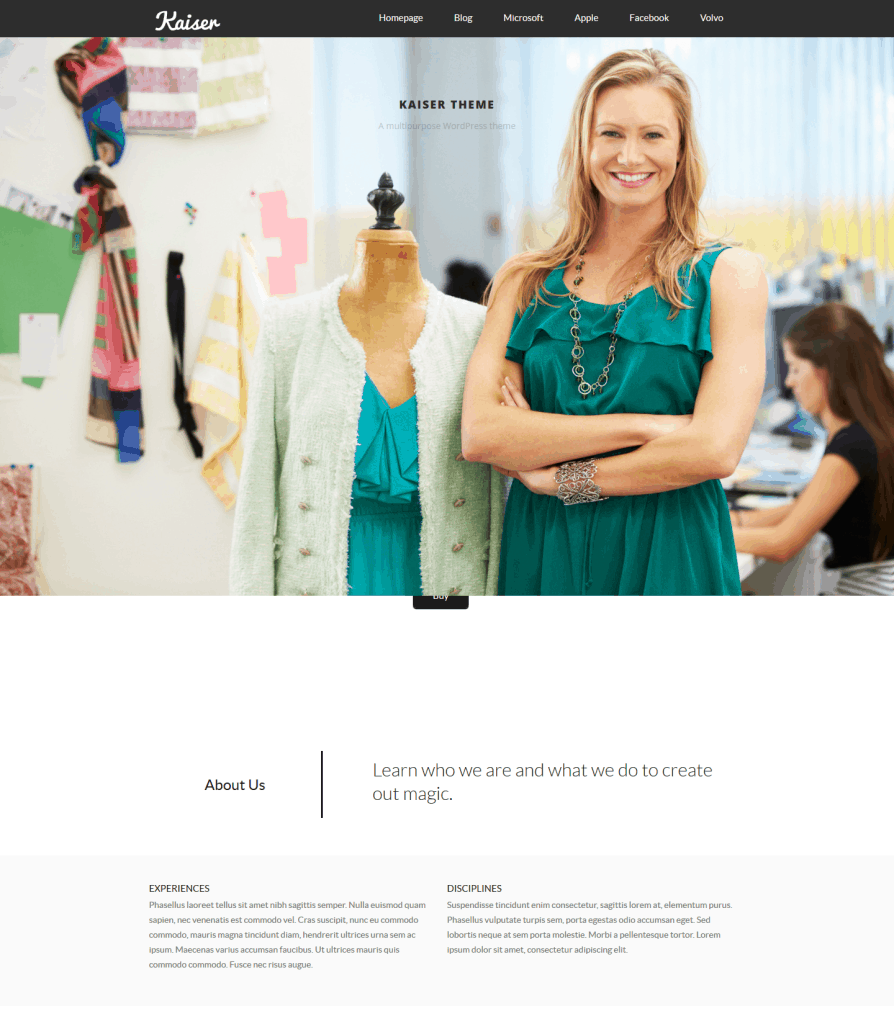 30 + Responsive WordPress Themes For A Professional And Beautiful Site