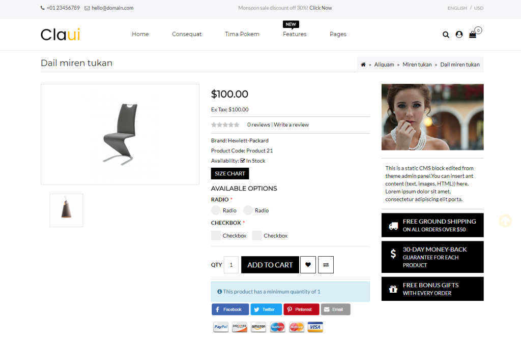 Responsive Opencart Themes with some Highlighted Features