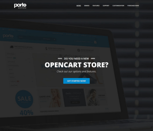 10 Reasons for Choosing OpenCart as an Online Store Solution