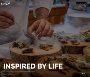 Restaurant Business Premium HTML Templates of 2018