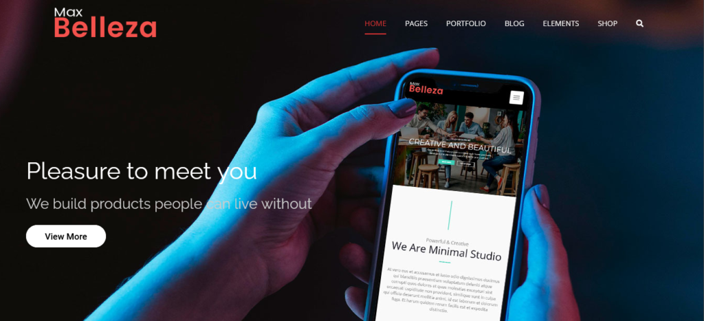 Choosing the Belleza: The Best Multipurpose WordPress Themes